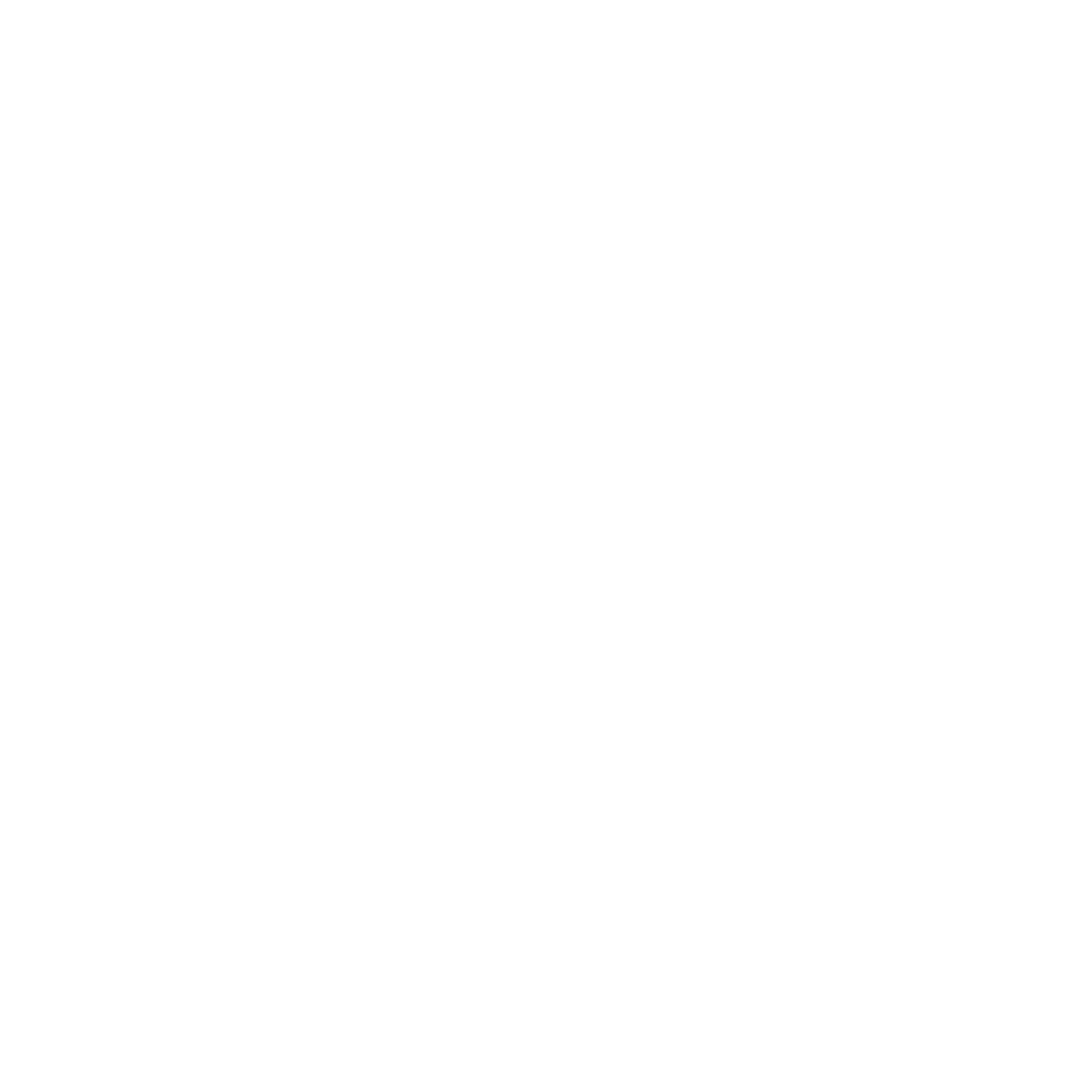 Saroki’s Franchise Opportunities - Own a Chicken & Pizza Restaurant